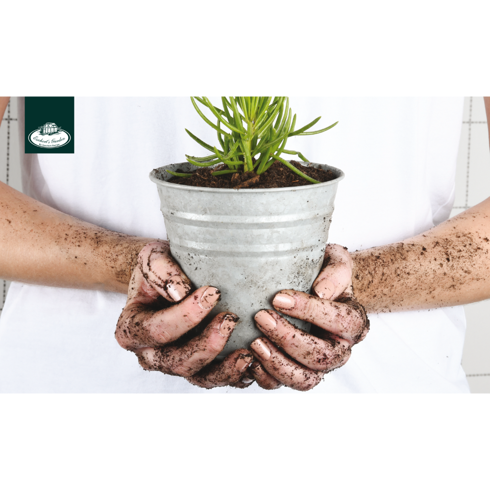 ESSCHERT DESIGN Moodboard OZ Flower Pot — Core Supply Group Pty Ltd