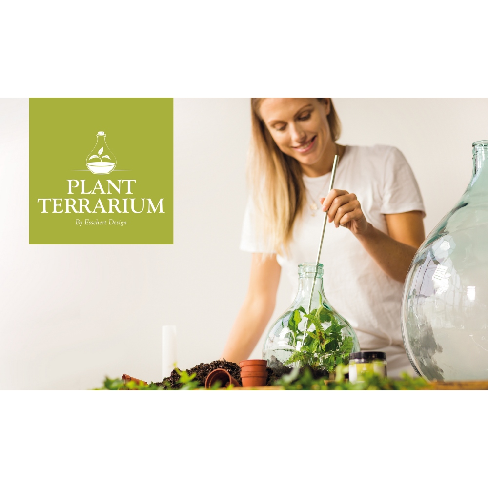 ESSCHERT DESIGN Moodboard Plant Terrarium — Core Supply Group Pty Ltd